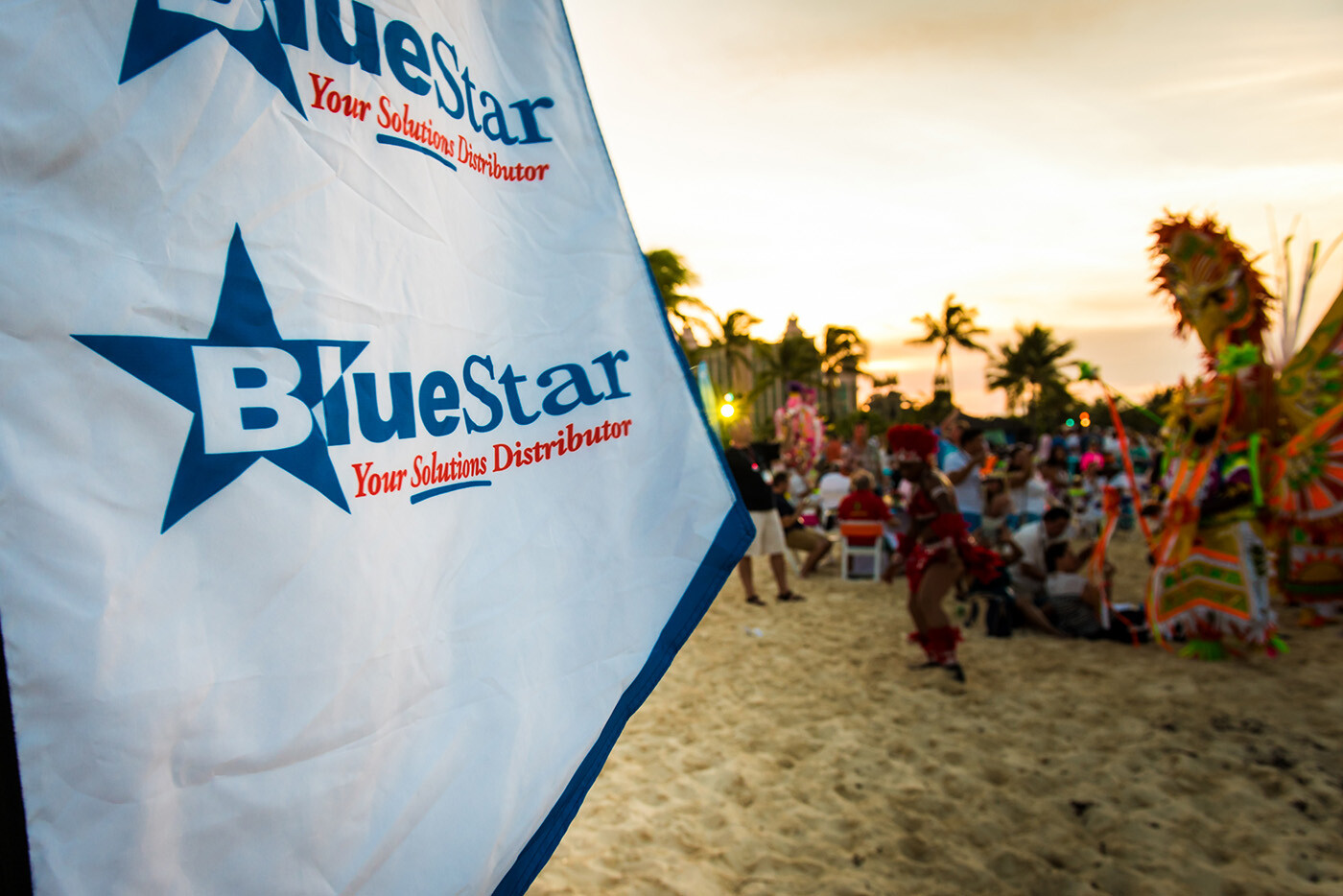 About The Company | BlueStar