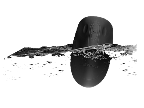 Seal Shield - Home | BlueStar